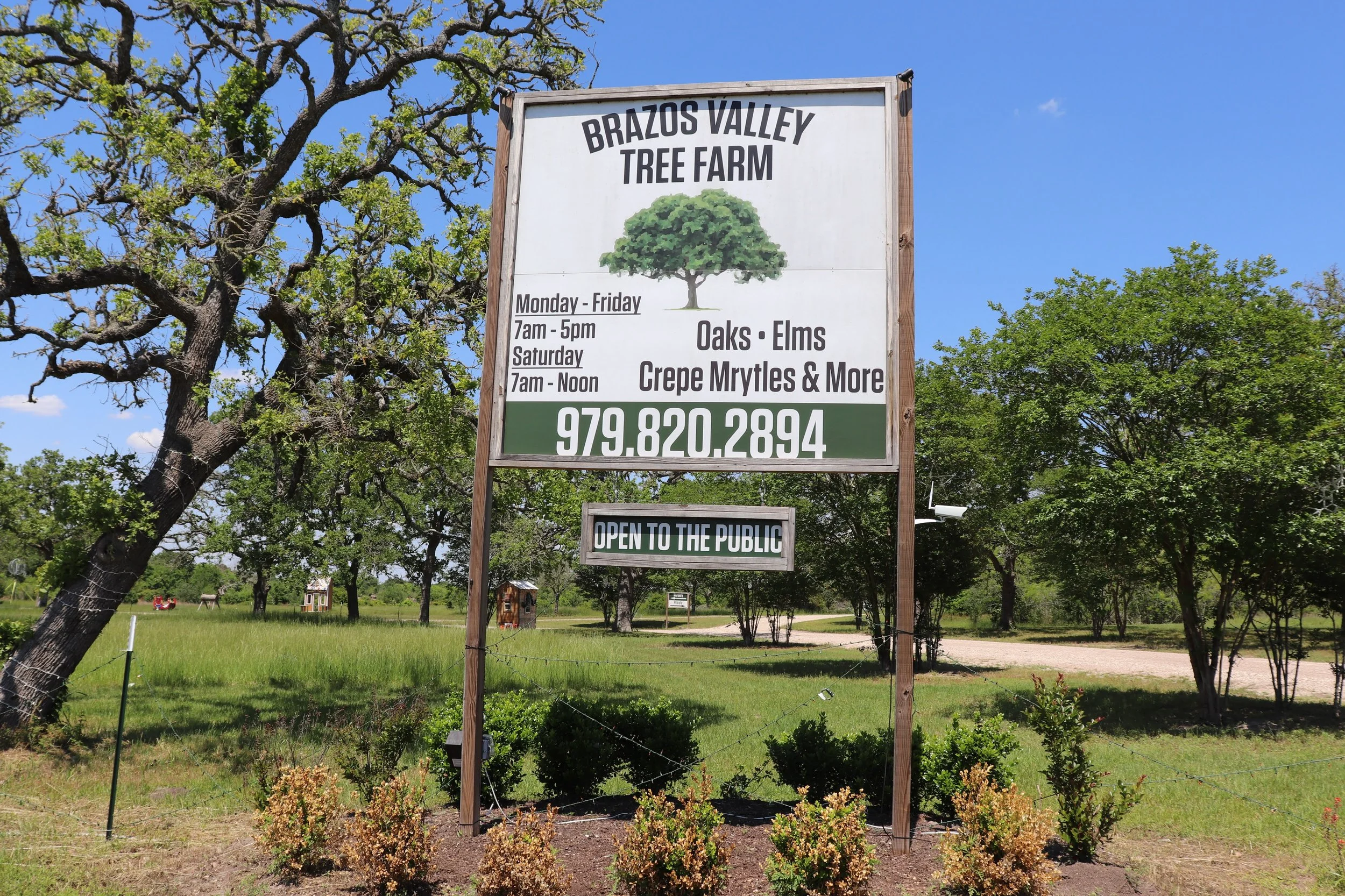 Brazos Valley Tree Farm