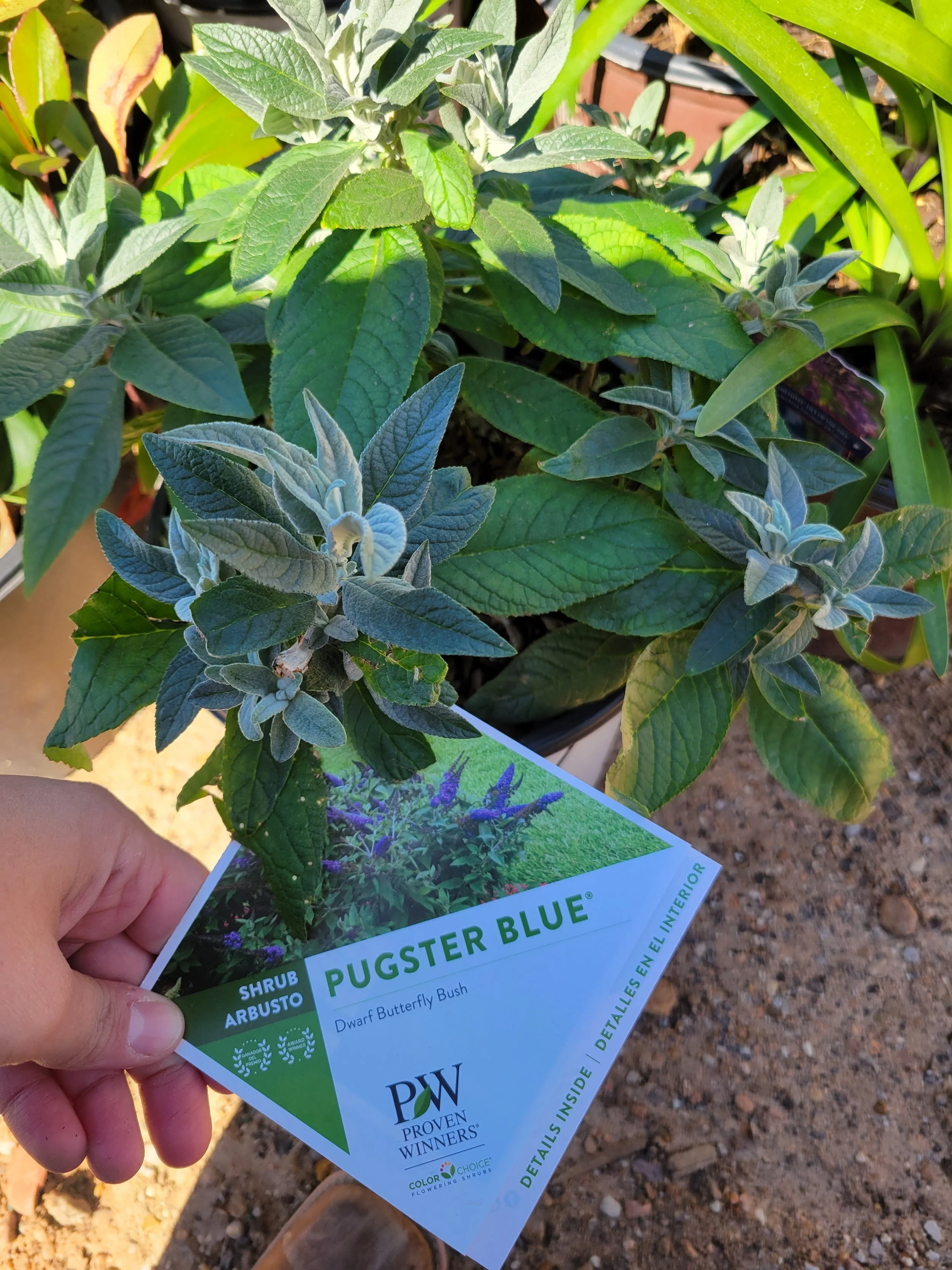 Plant Nursery and Garden Center in College Station — Brazos Valley Tree Farm