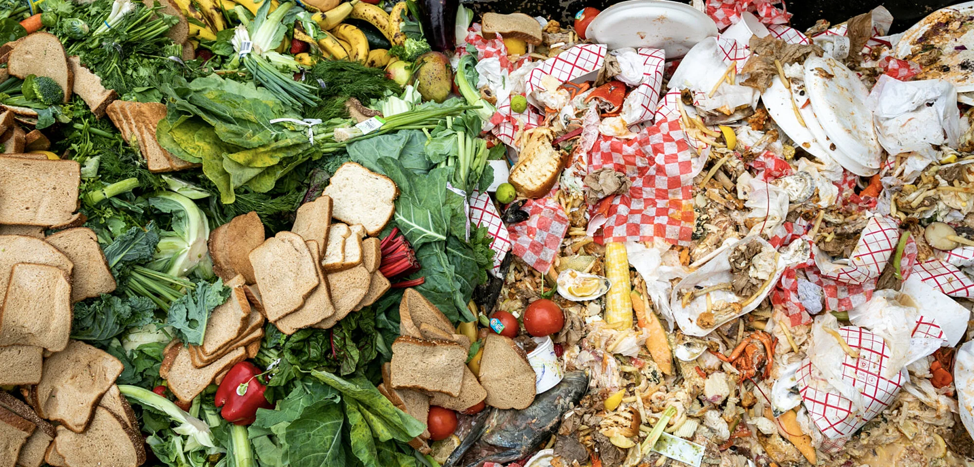 Island Grown Initiative of Martha's Vineyard