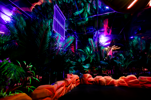 Gallery — Concourse Dance Bar