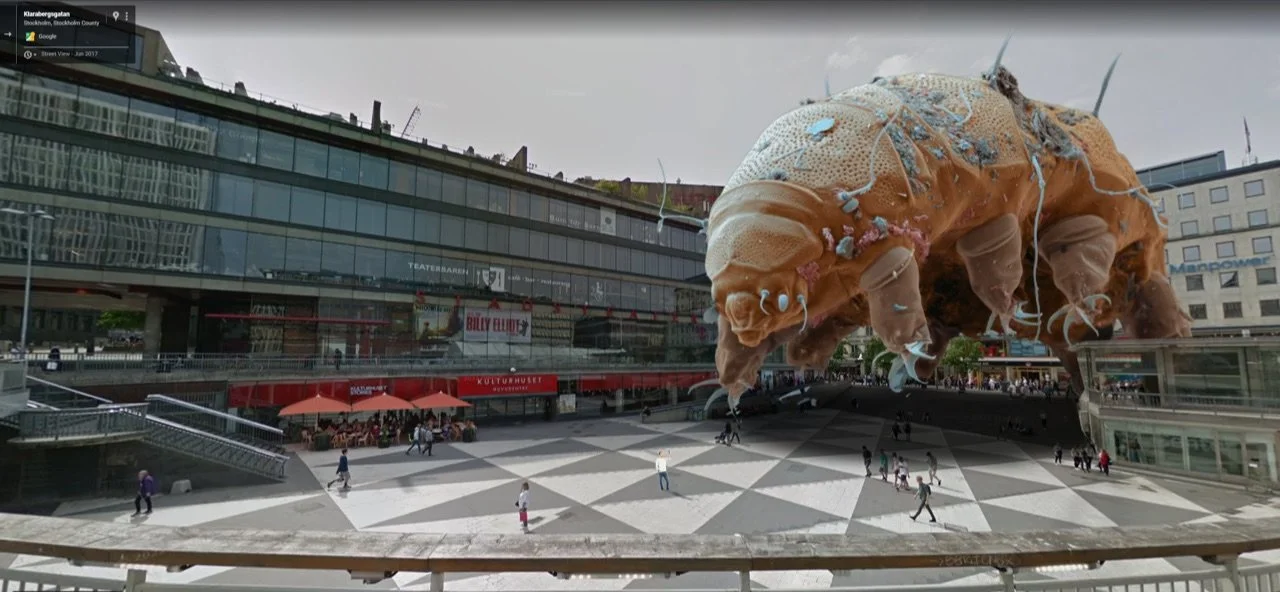 Slow Walker — PEDER BJURMAN