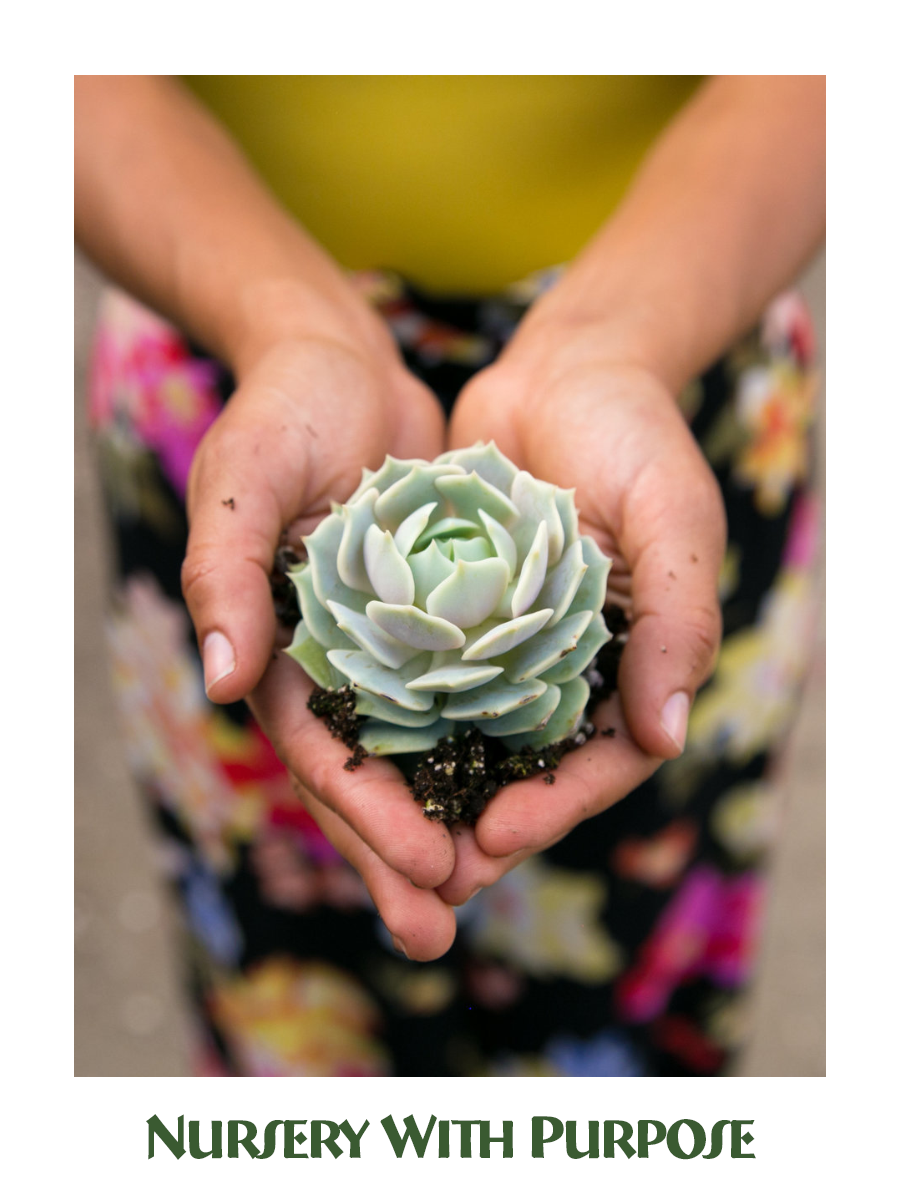 Sewing & Fiber Sewing Flower Sac KIT bluegreen Sewing & Needlecraft ...