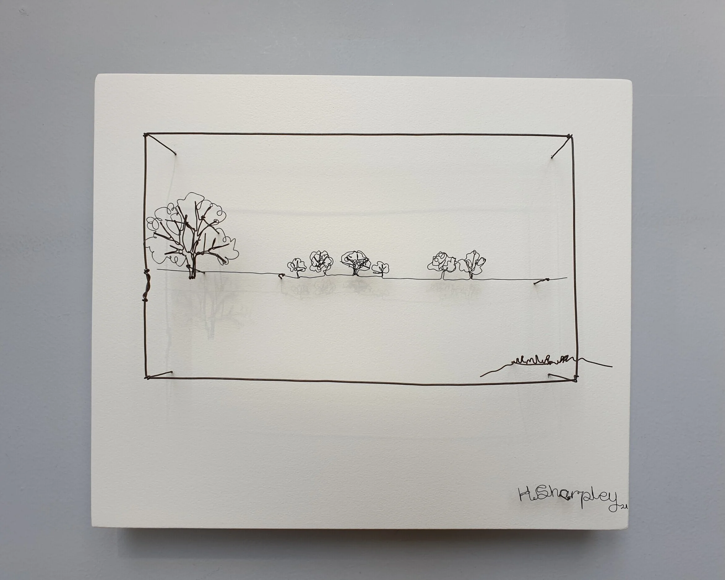 Shop — Helaina Sharpley Wireworks