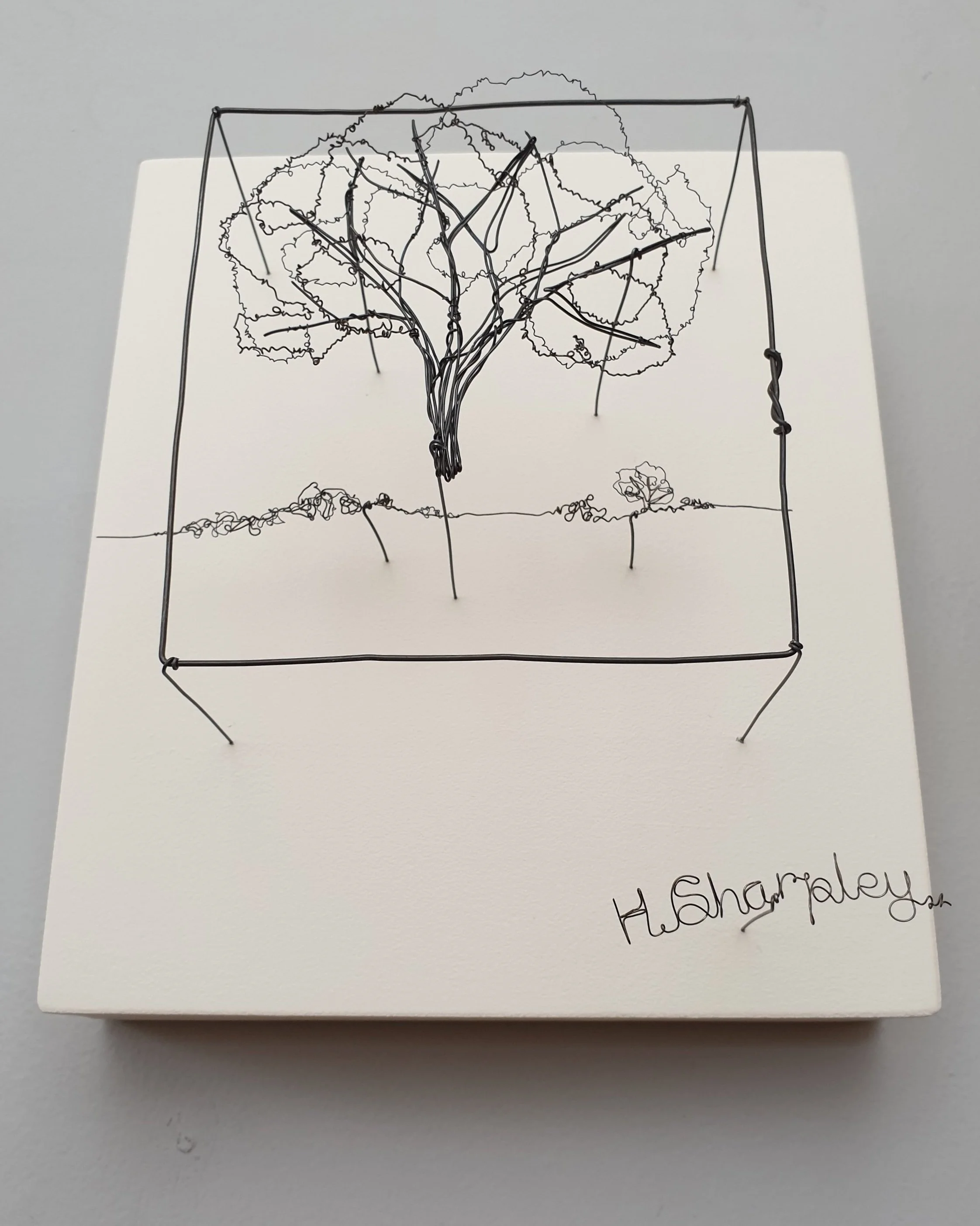 Shop — Helaina Sharpley Wireworks