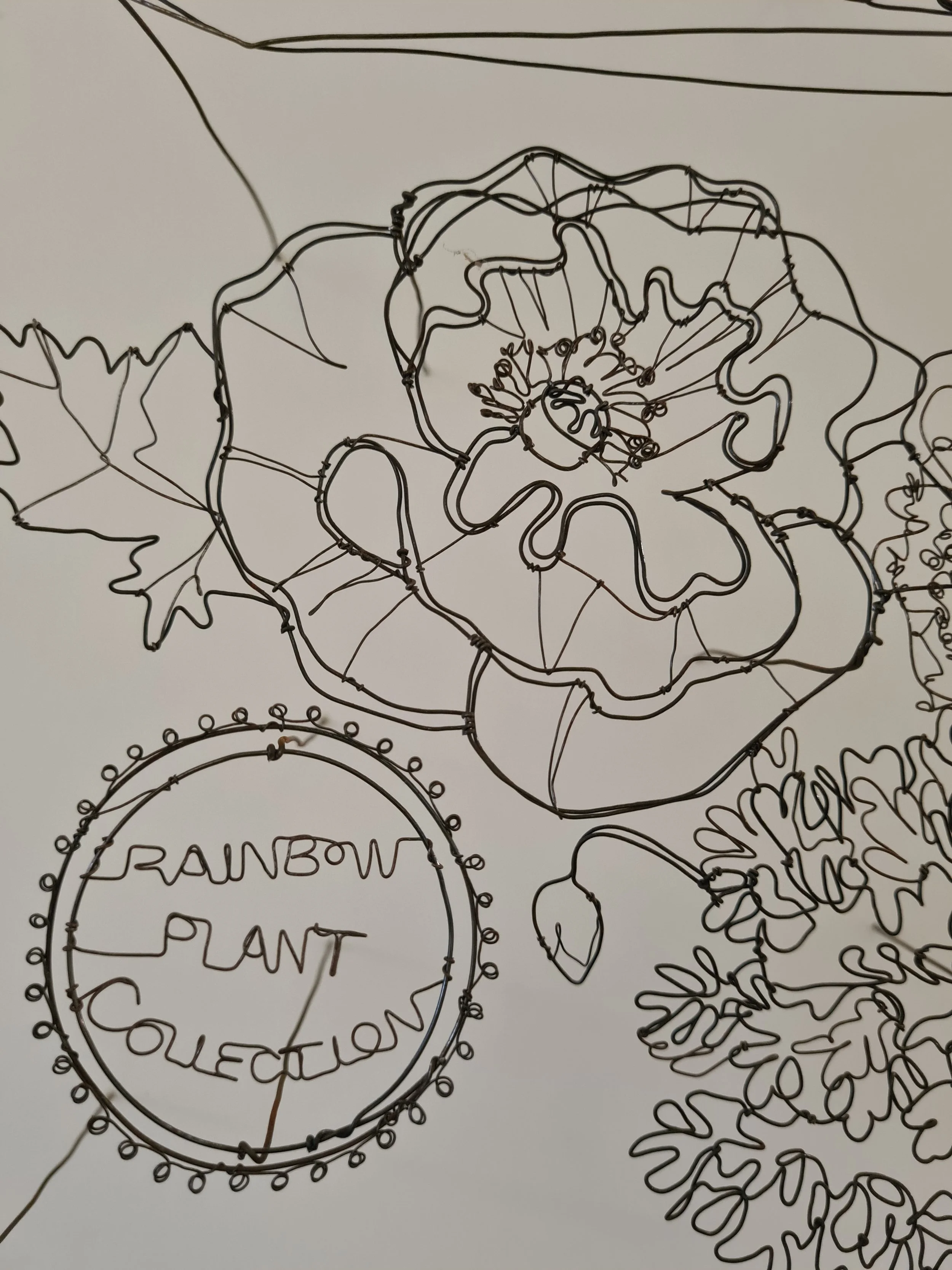 Peacock Poppies — Helaina Sharpley Wireworks