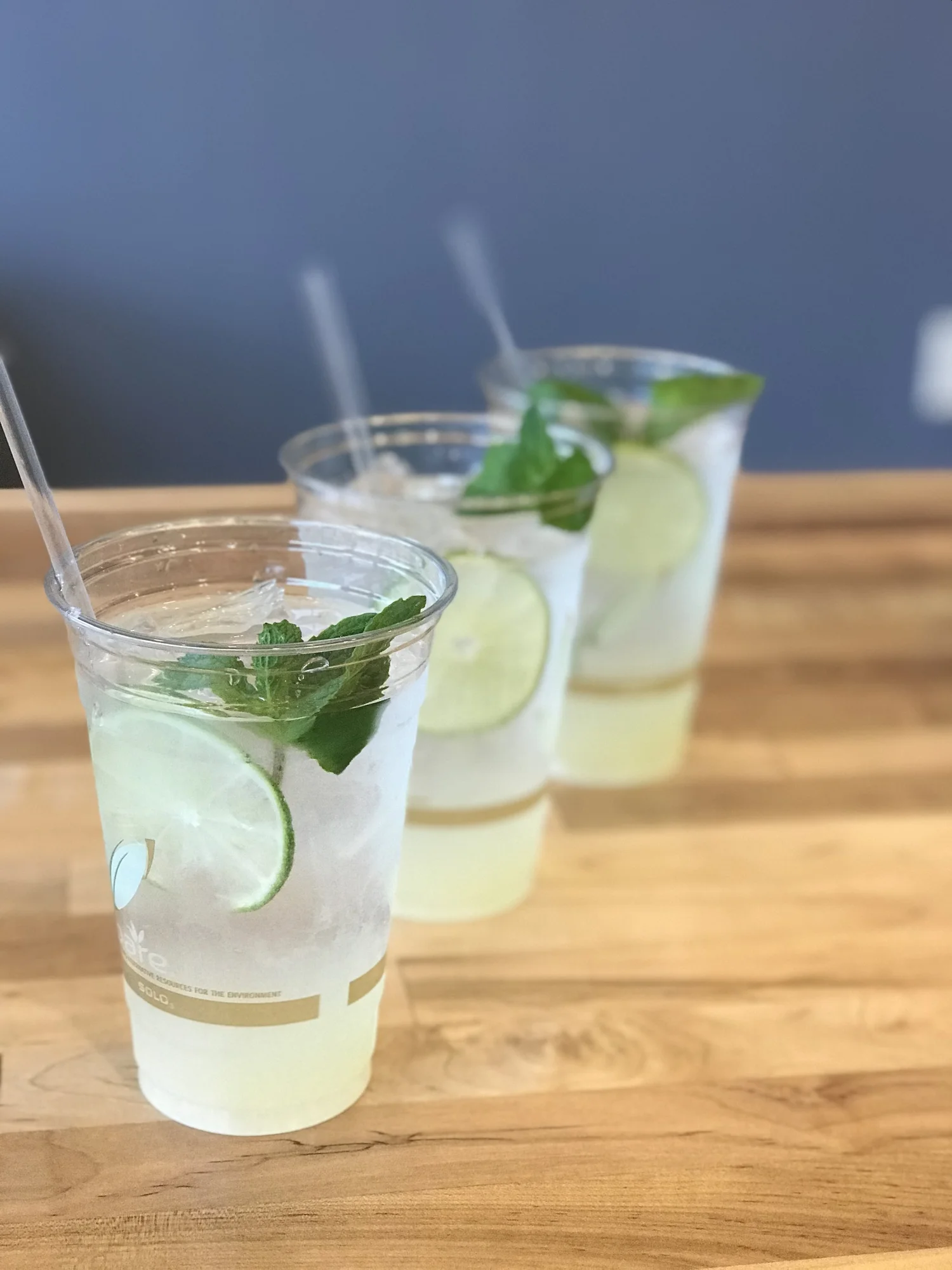 Việt Citron — Bow Market