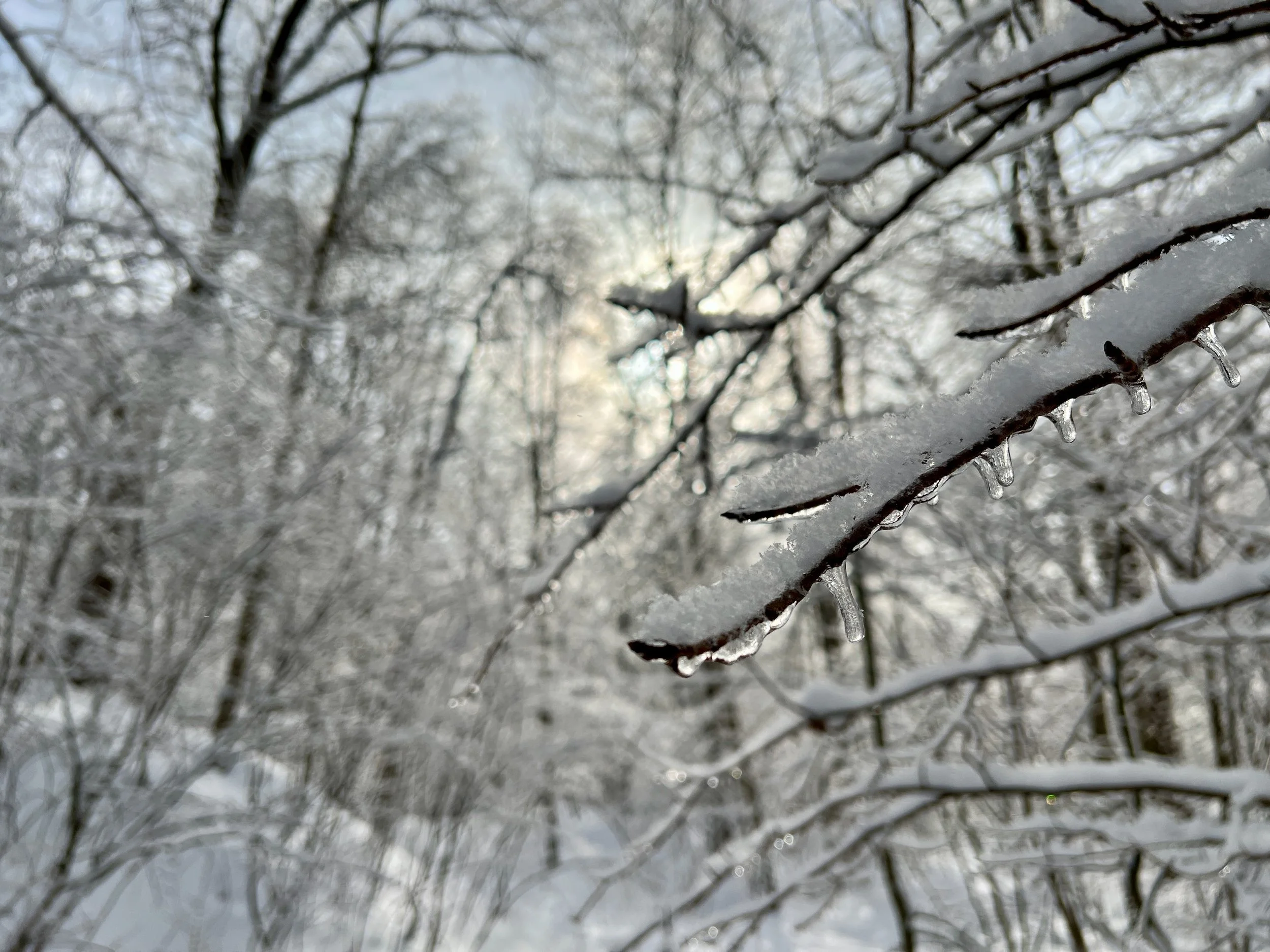 How To Go Outside When It's Frigidly Cold: 6 Tips to Keep You Active ...