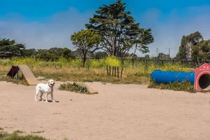 Doe Park — The Parks at Monterey Bay
