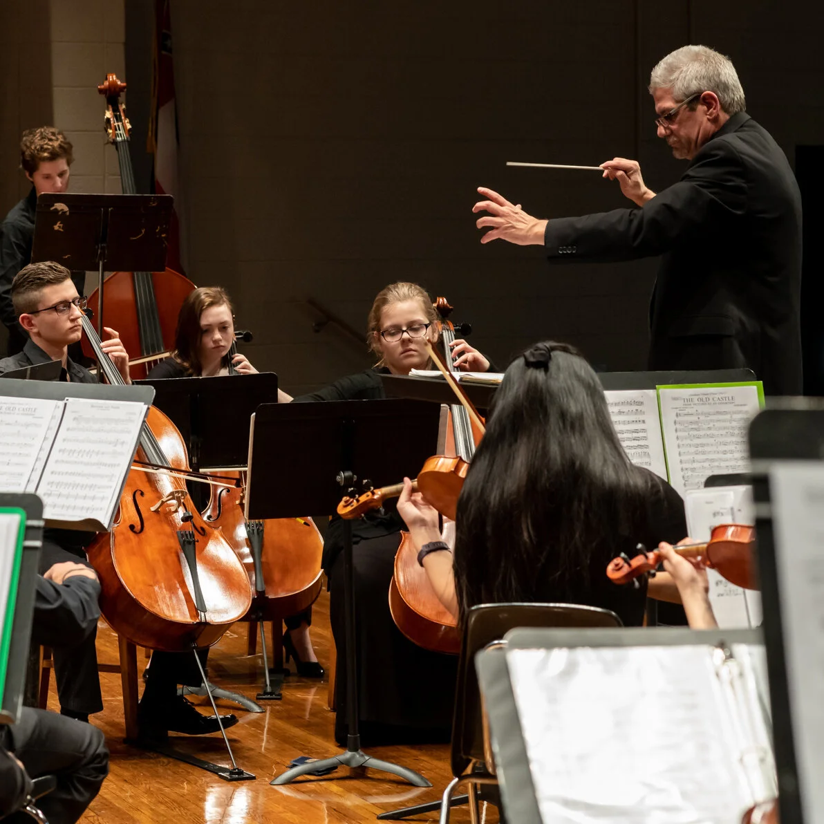 North Mississippi Symphony Orchestra