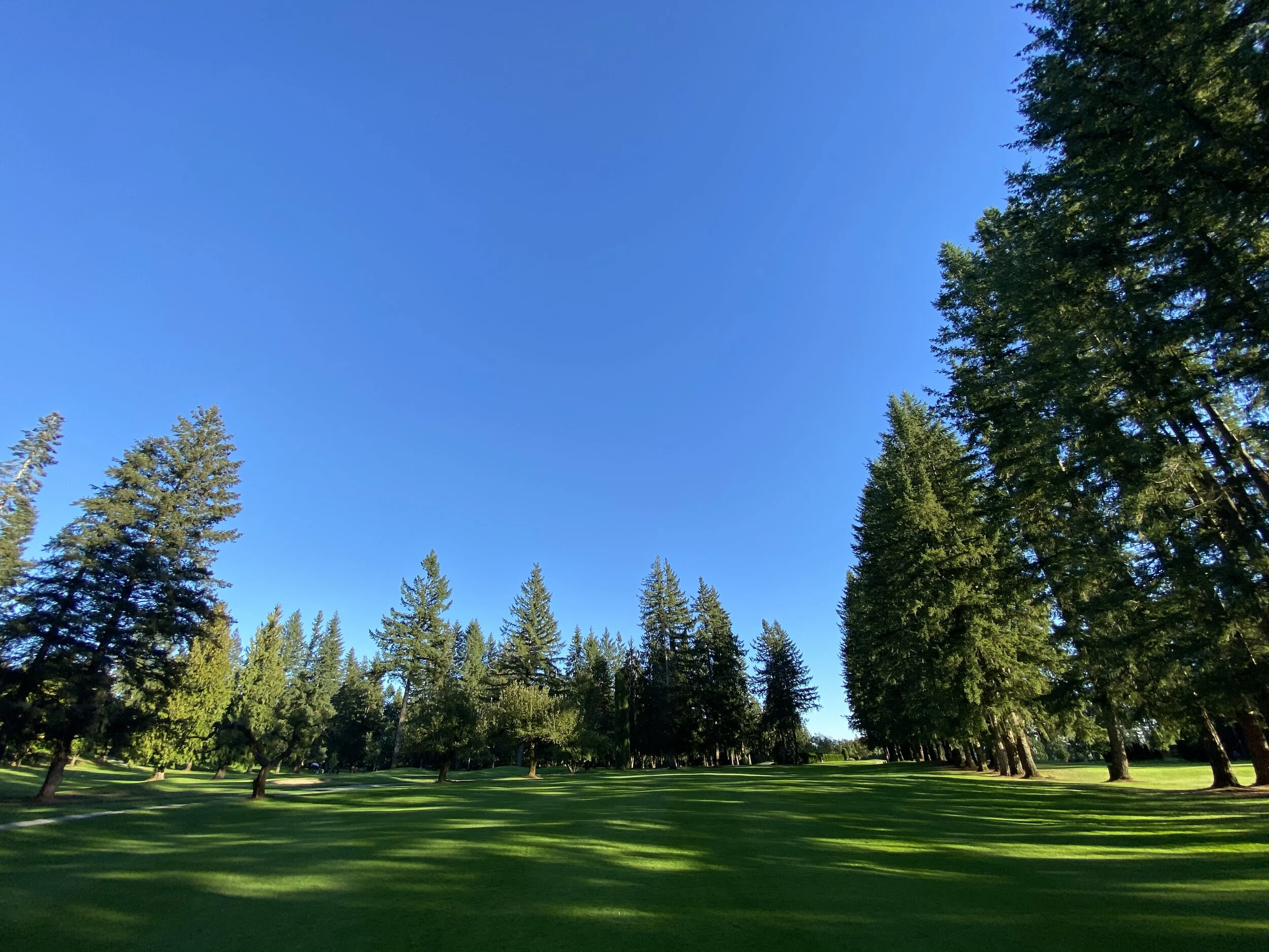 About MGCC — Mission Golf & Country Club