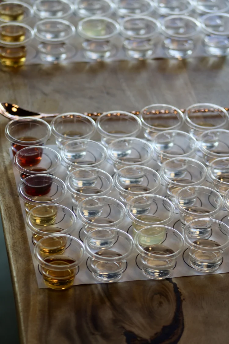 2025 Ginworld St Louis | Join the Gin Celebration Today — Ginworld