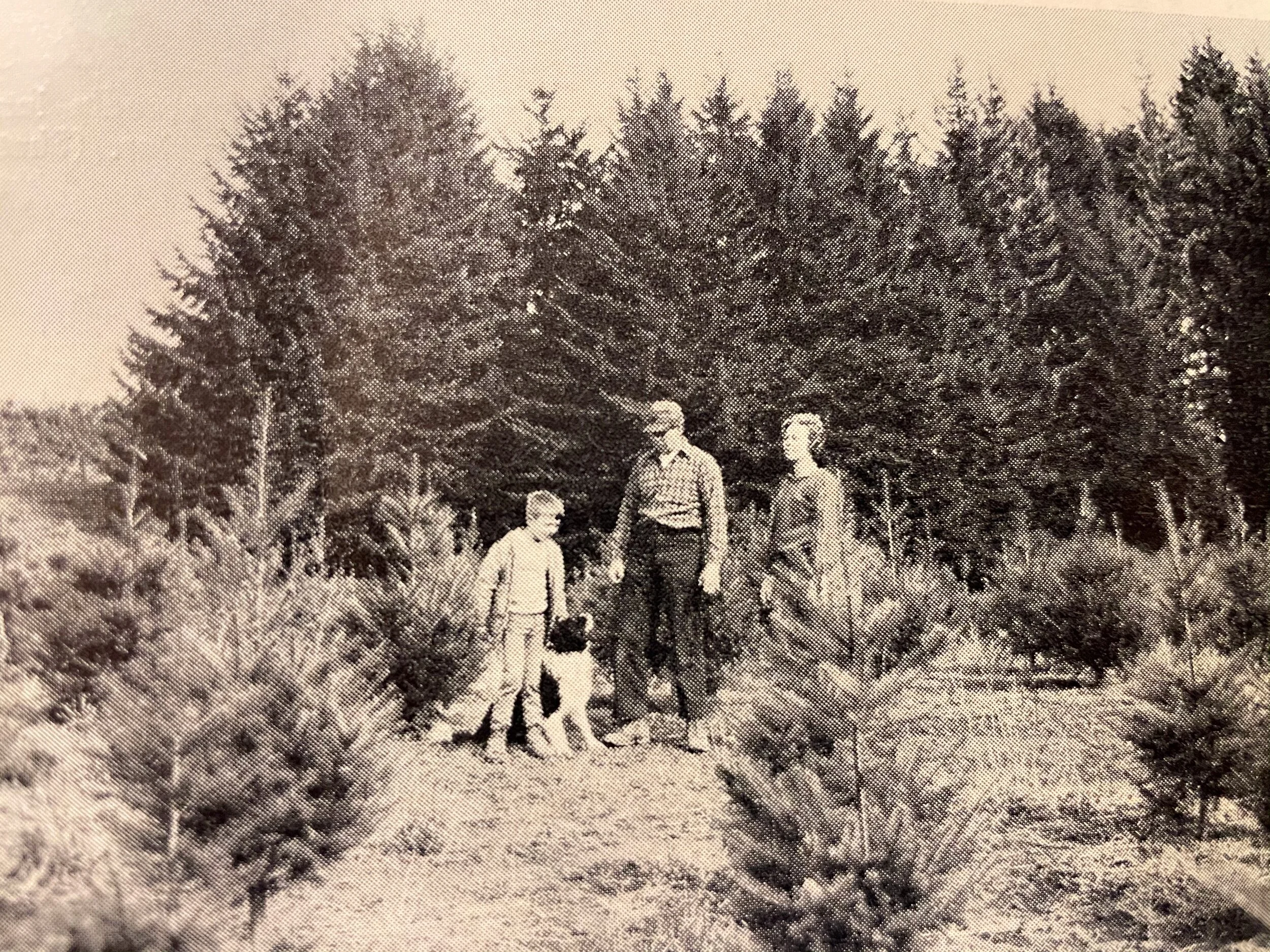 About — Logan Tree Farm