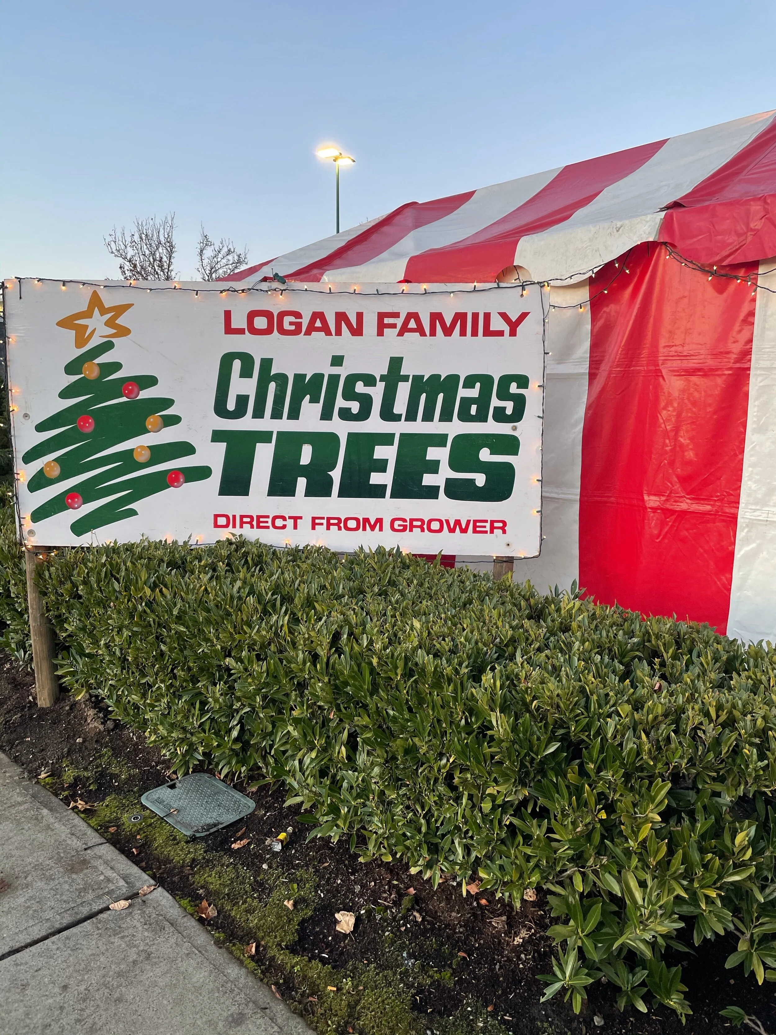 About — Logan Tree Farm