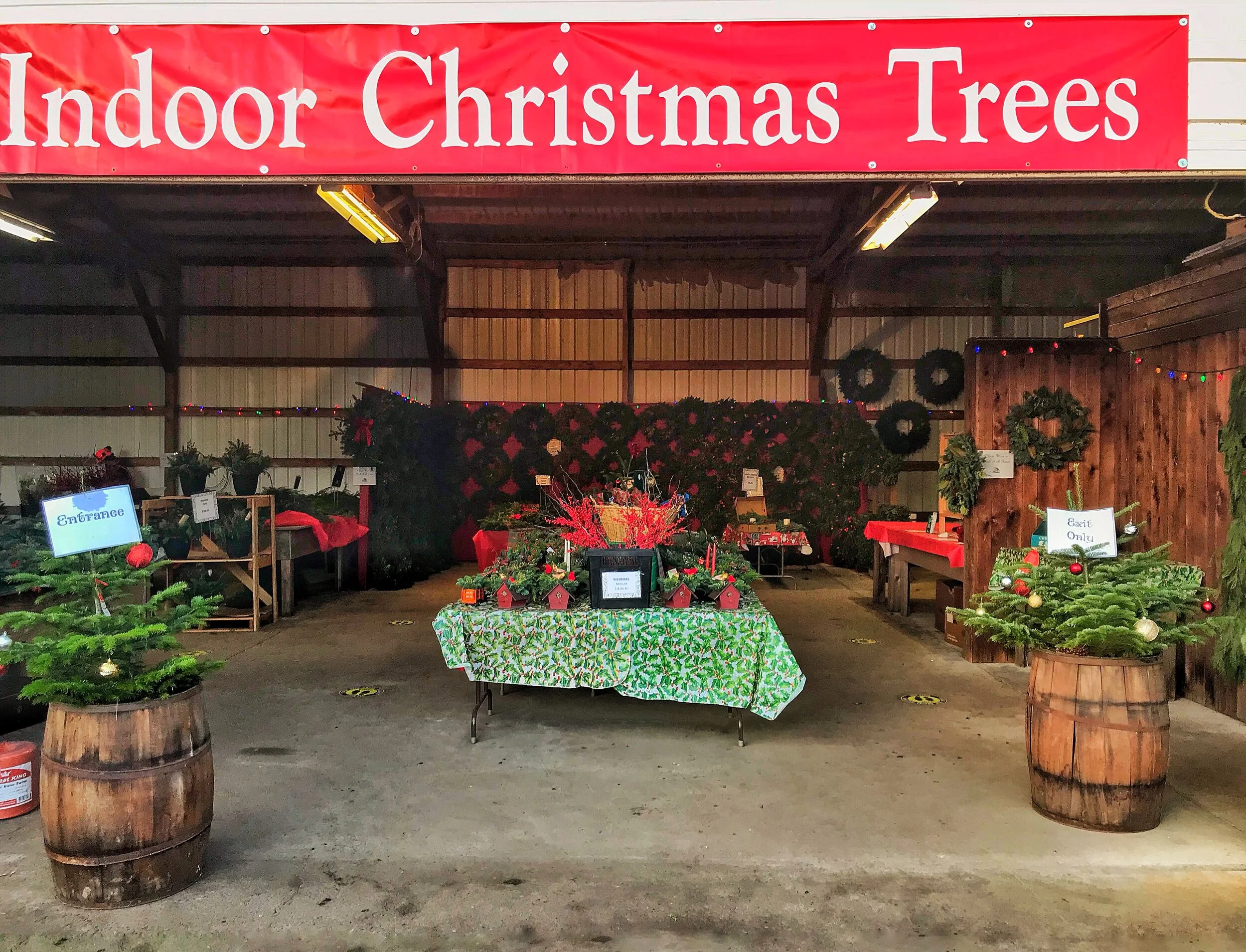 About — Logan Tree Farm