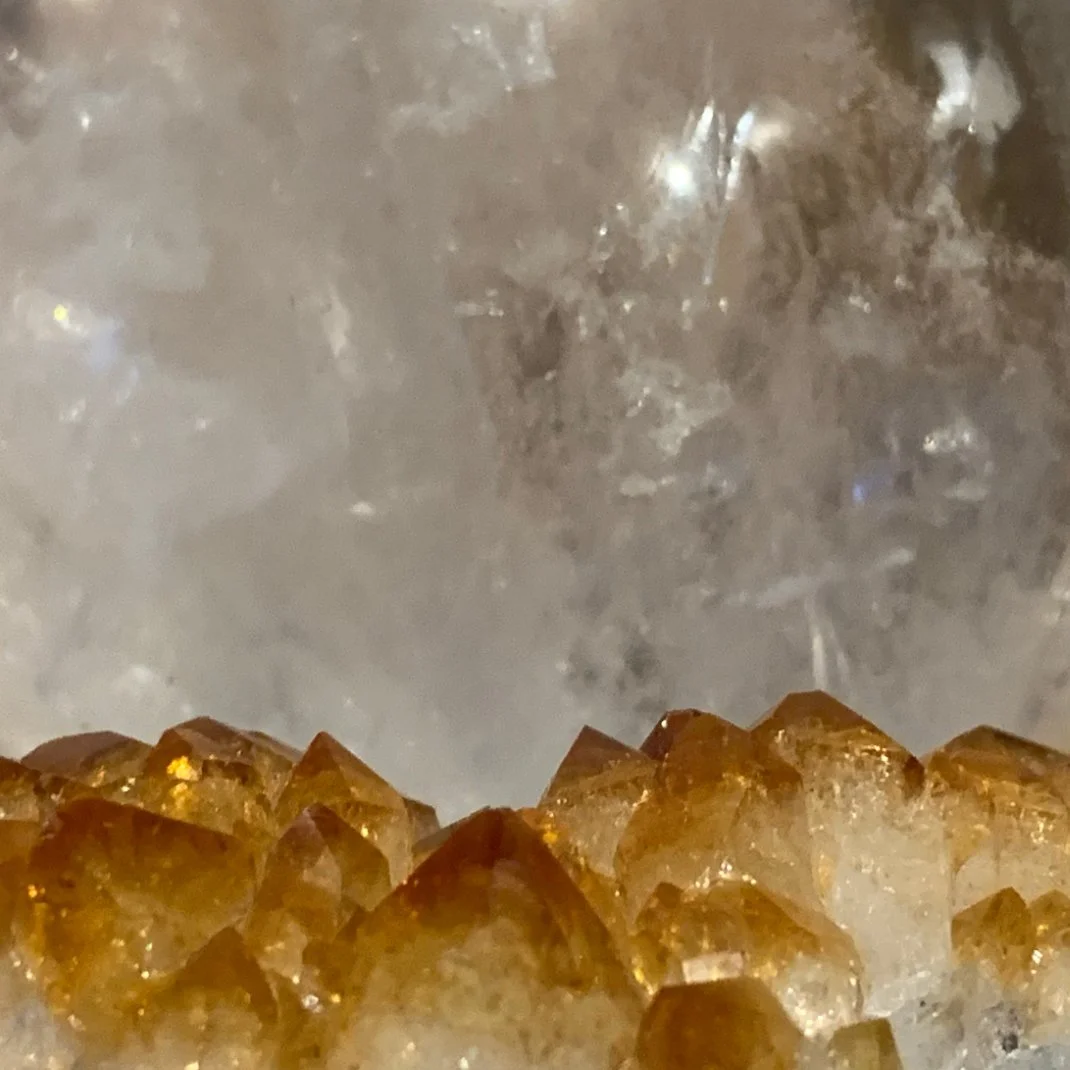 BPI Berkeley Events — Berkeley BPI