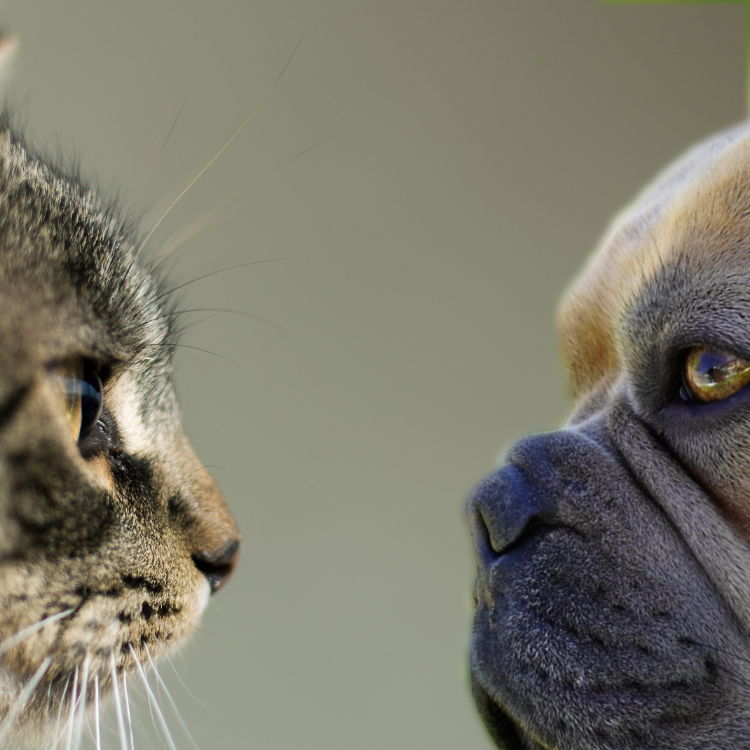 Mini-Workshops, Spiritual Meditations — Berkeley BPI