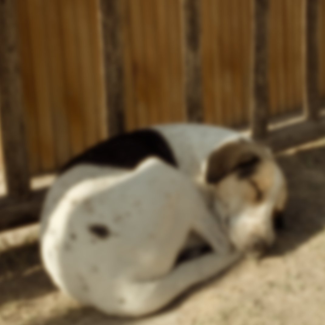 Mini-Workshop Archive — Berkeley BPI