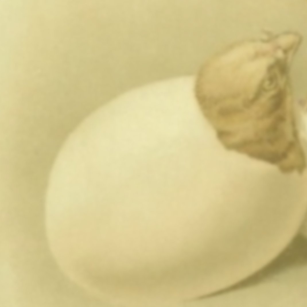 Mini-Workshop Archive — Berkeley BPI