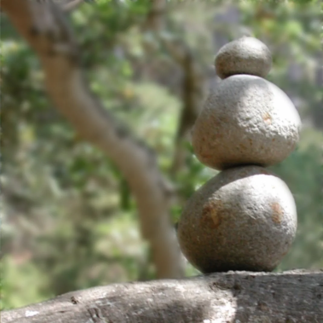 Mini-Workshop Archive — Berkeley BPI