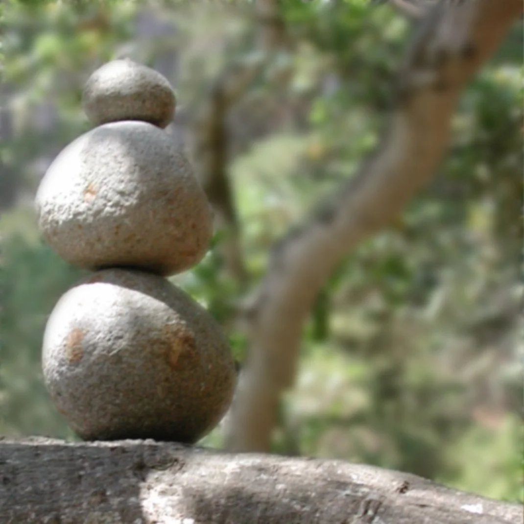 Mini-Workshop Archive - October 2023 — Berkeley BPI