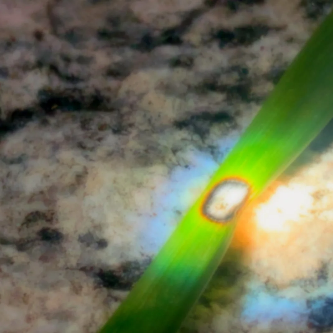 Mini-Workshop Archive - April 2025 — Berkeley BPI