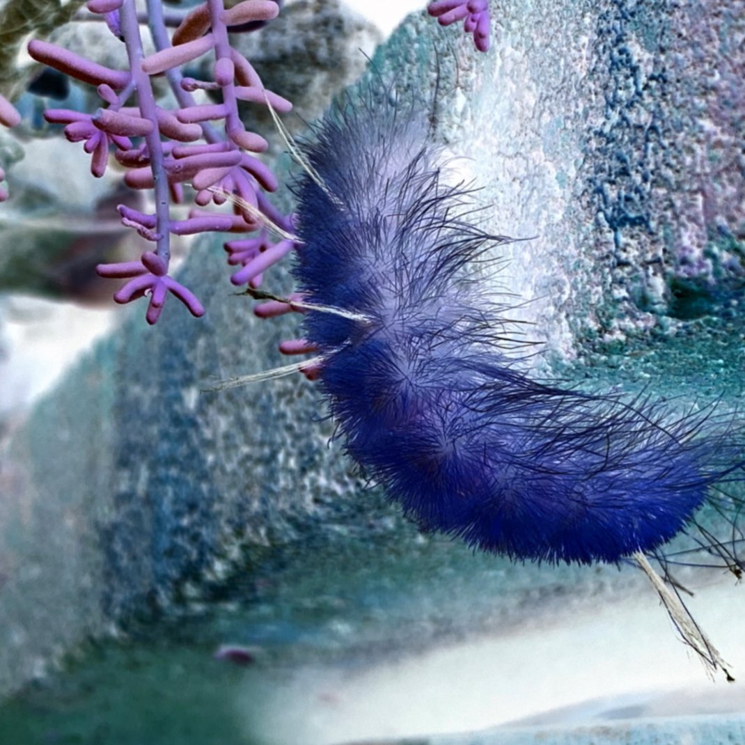 Mini-Workshop Archive - June 2025 — Berkeley BPI