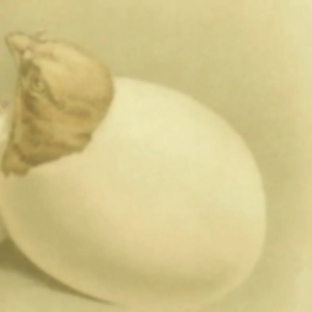 Mini-Workshop - Growth Periods — Berkeley BPI