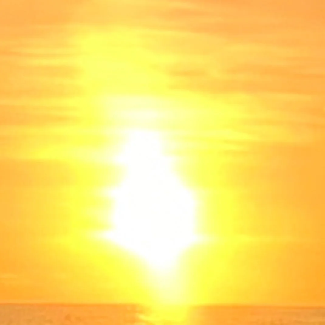 Mini-Workshop Archive - December 2024 — Berkeley BPI