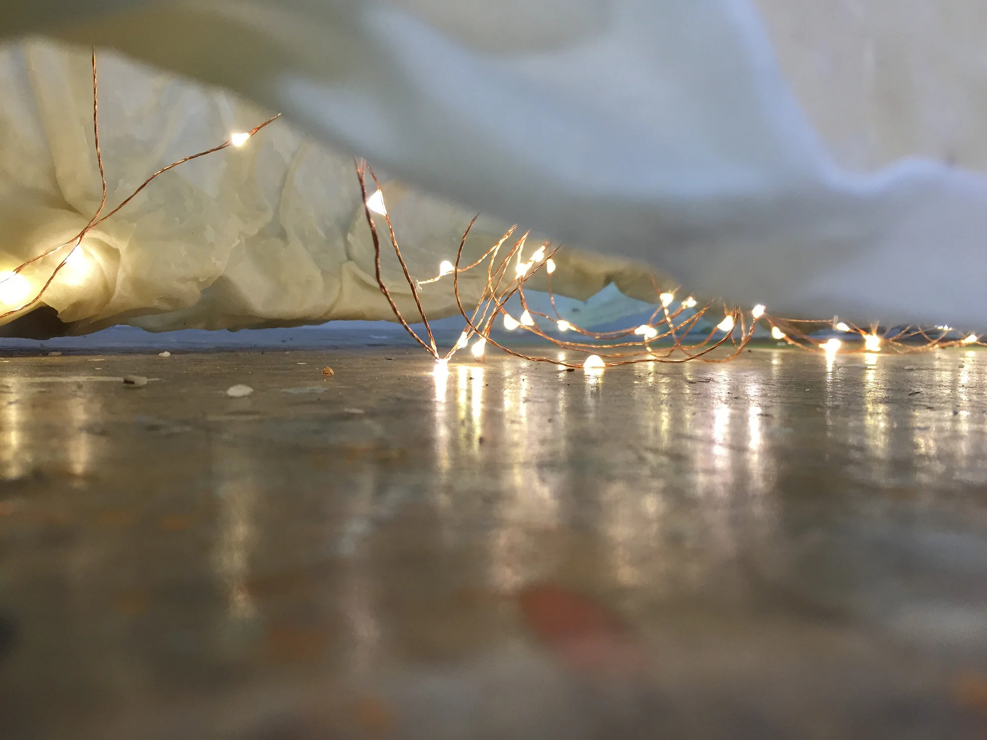 About 4 — jane michaele cameron