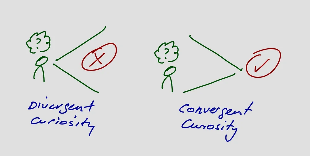 The Dark Side of Curiosity: When Too Many Questions Become a Problem