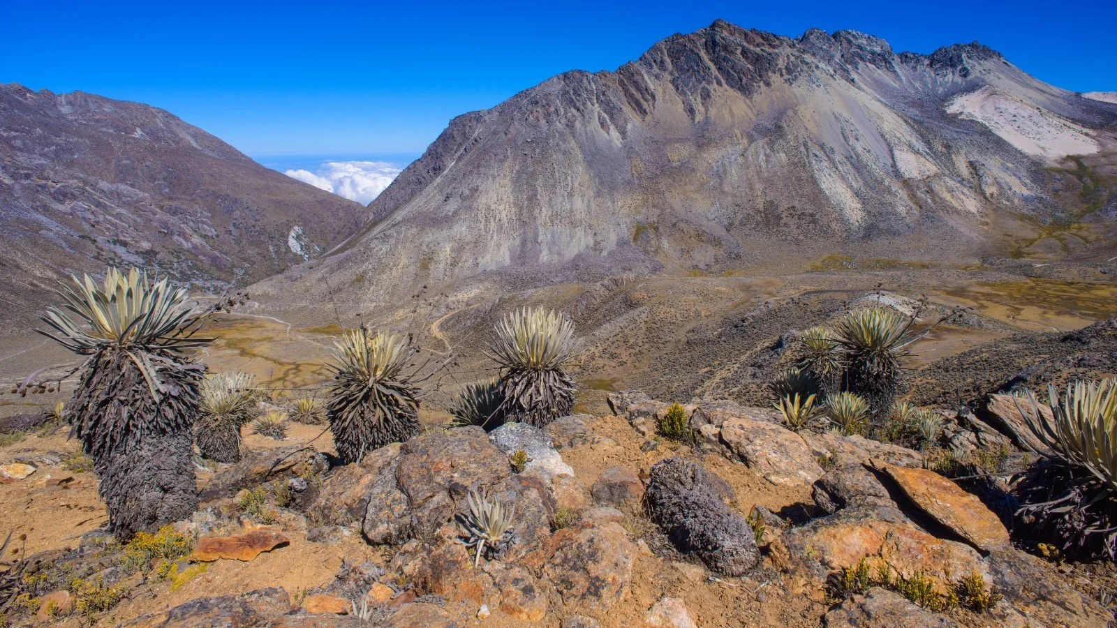 Travelling in Harmony with Nature through Peru — WTTC Travel Hub