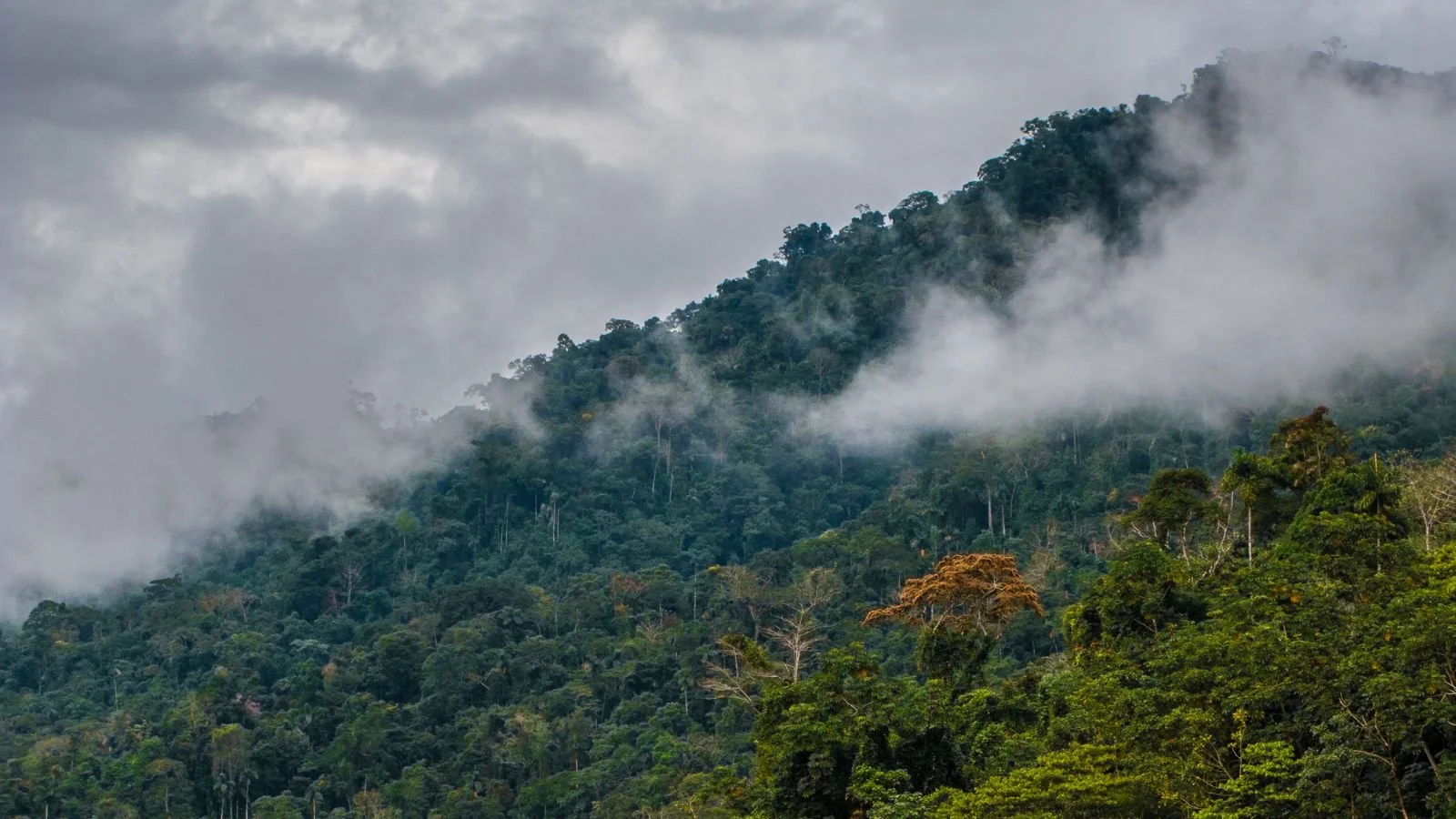 Travelling in Harmony with Nature through Peru — WTTC Travel Hub