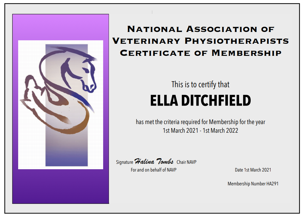 About me- Equine Veterinary Physiotherapist — The Country Physio ...