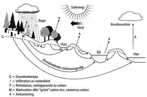 Grundvatten - vad är det och varför förändras nivån? Behöver jag ha ...