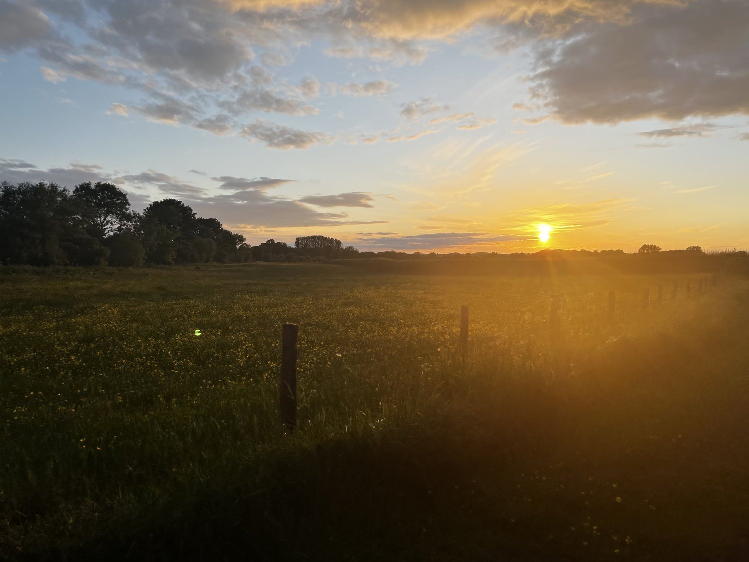 Shire Camping | Rural Camping & Glamping near Cotswolds UK