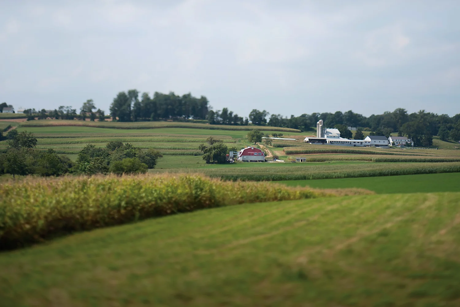 Our Story — Country Classic Collection