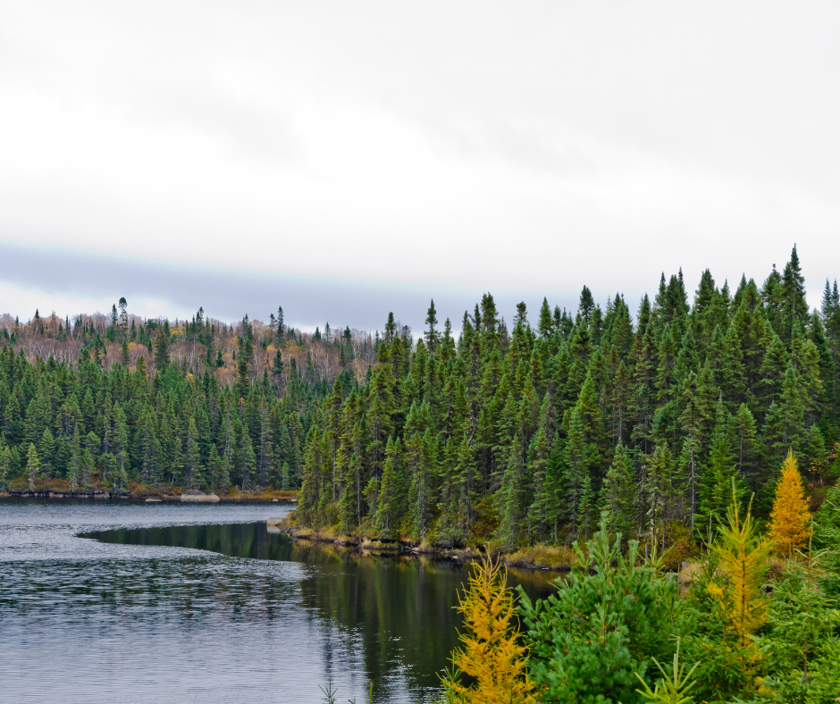 Sustainable Development Goals and Air Quality — Canadian Environmental Network