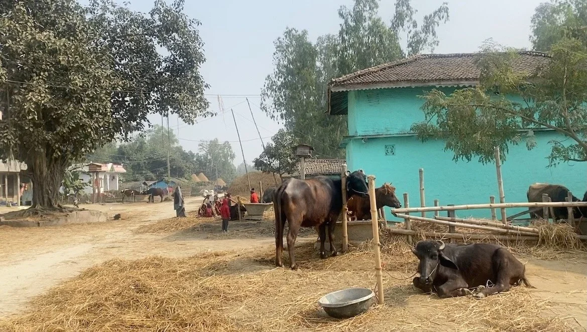 Sarlahi: A Story of hope and change — One Heart Worldwide - Making ...