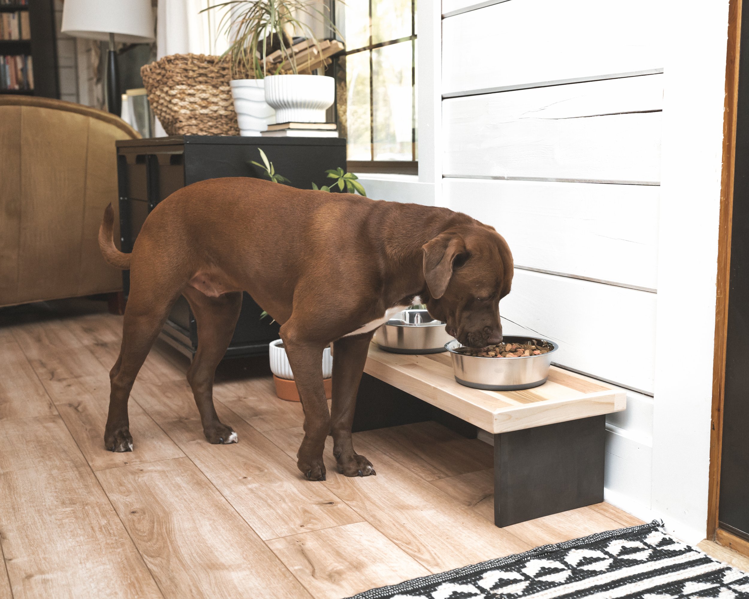 The Willow - Computer Desk