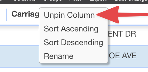 How to pin a column in the RAMM HTML grid | The Datastack