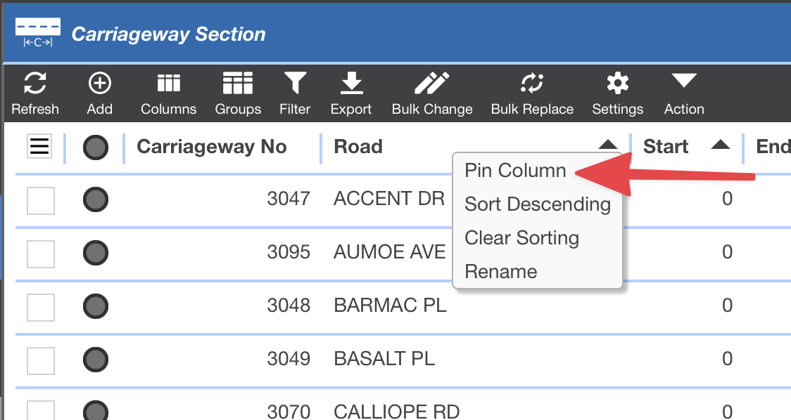 How to pin a column in the RAMM HTML grid | The Datastack