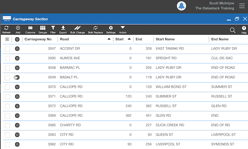 How to pin a column in the RAMM HTML grid | The Datastack