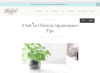 5 tips for Squarespace beginners