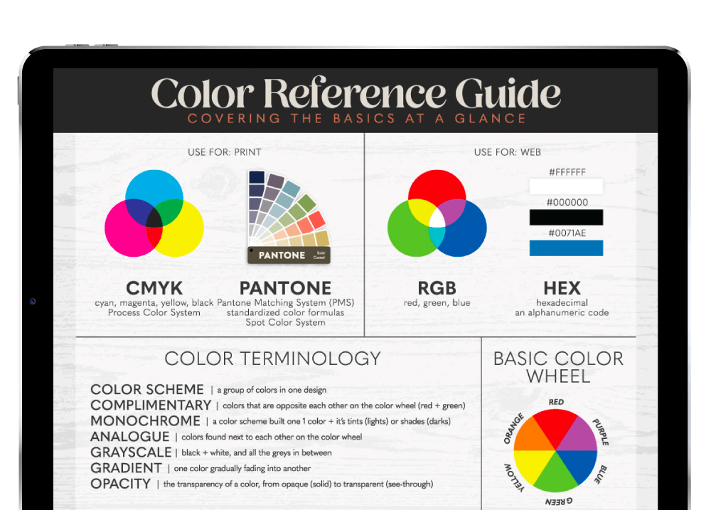 Freebies & Mini-Courses