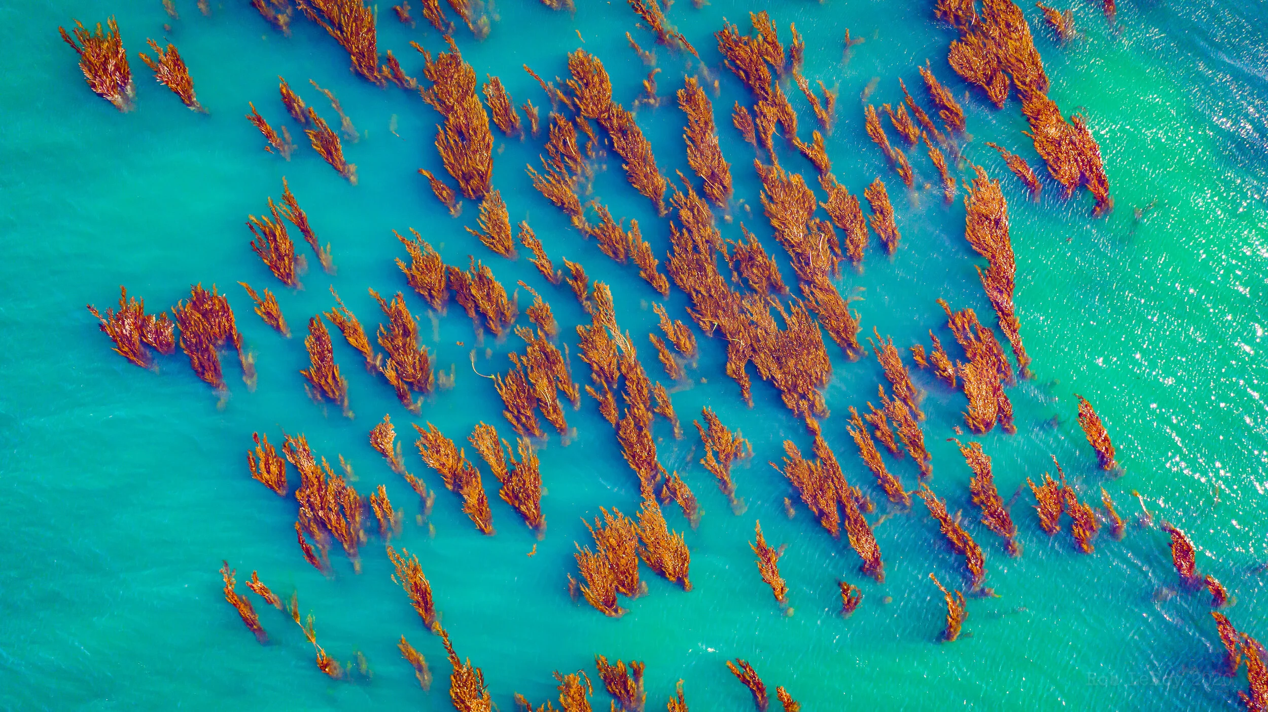 Tourism Visual Packages — Full Frame Creative Agency