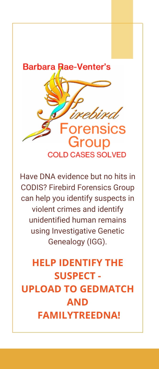 LE Brochure — Firebird Forensics Group, Inc.