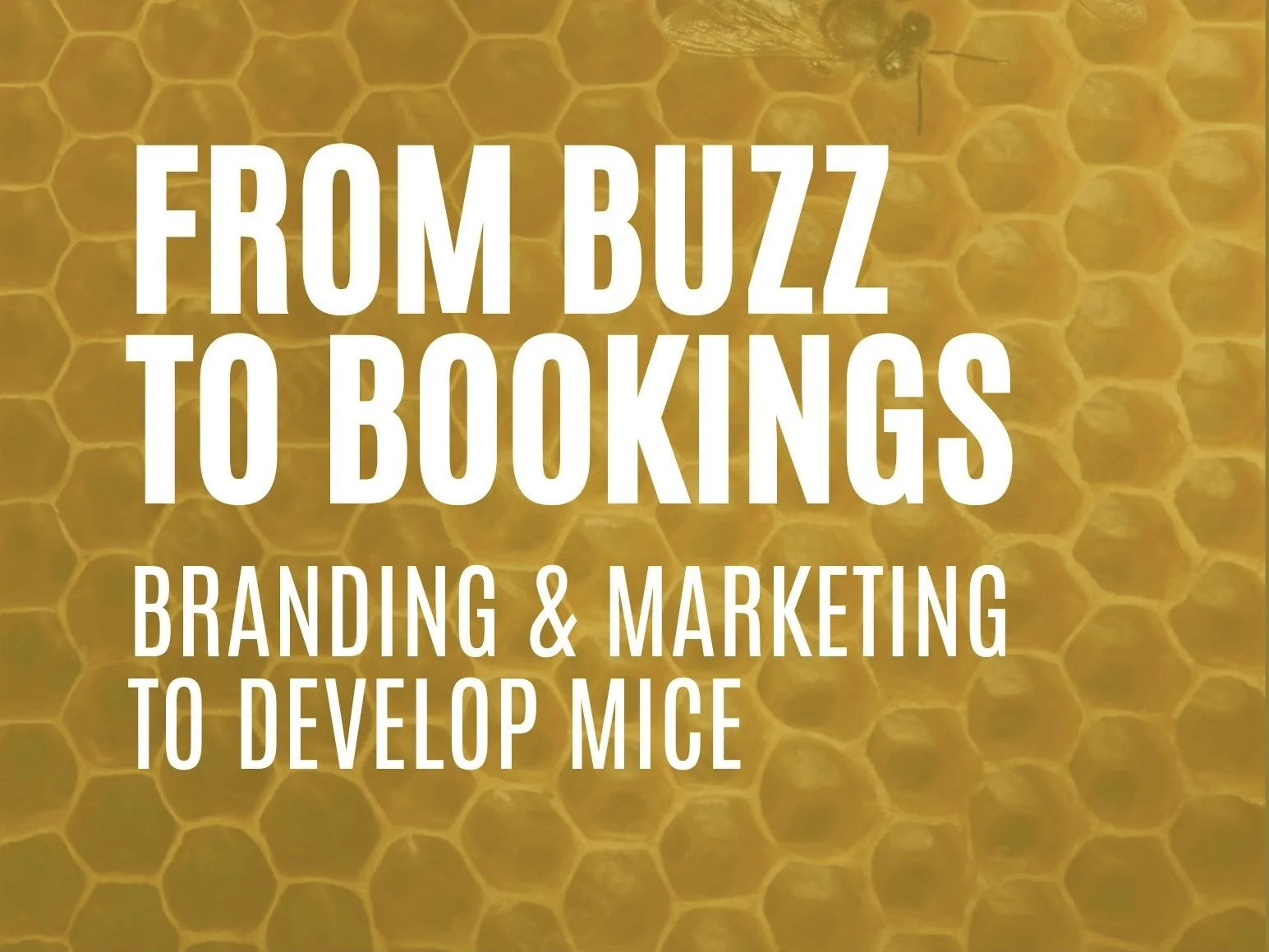 Trove Tourism Development Advisors