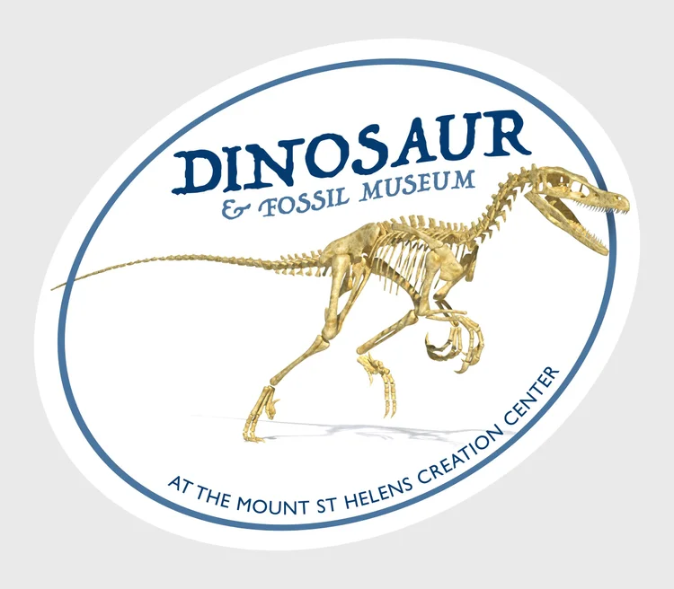 Services 3 — Mount Saint Helens Creation Center