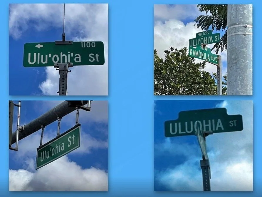 Mayor's Office of Culture and the Arts