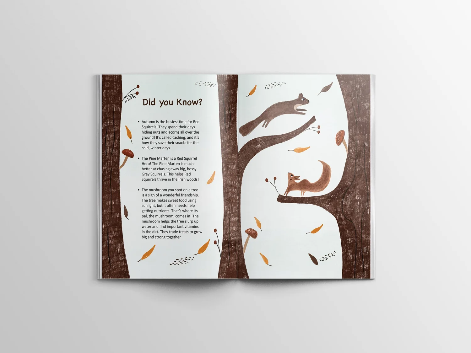 Portfolio | Maiden Moose — Irish Illustration & Storytelling